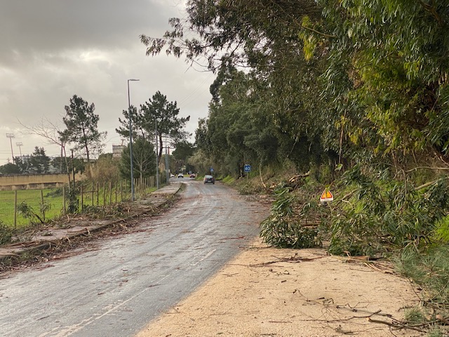 Kristin visitou Rio Maior e deixou marca - Região de Rio Maior